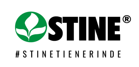 STINE Semillas Argentina - El Semillero Privado #1 del Mundo